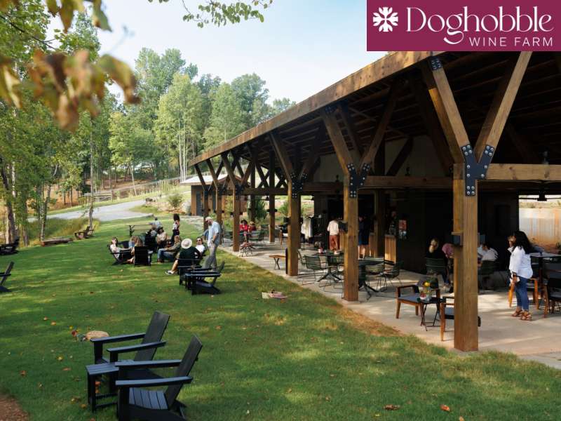 Dahlonega Area Tours - JB's Wine & Brewery Tours